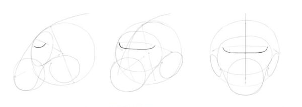 How to Draw a Big Cat Head – Monika Zagrobelna