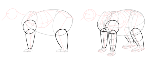 SketchBook Original: How to Draw Bears – Monika Zagrobelna