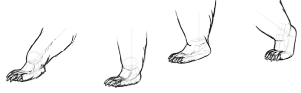 SketchBook Original: How to Draw Bears – Monika Zagrobelna