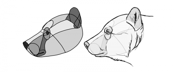 SketchBook Original: How to Draw Bears – Monika Zagrobelna