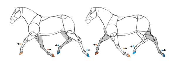 SketchBook Original: How to Animate Horses – Monika Zagrobelna