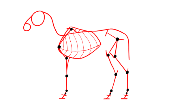 SketchBook Original: How to Animate Horses – Monika Zagrobelna