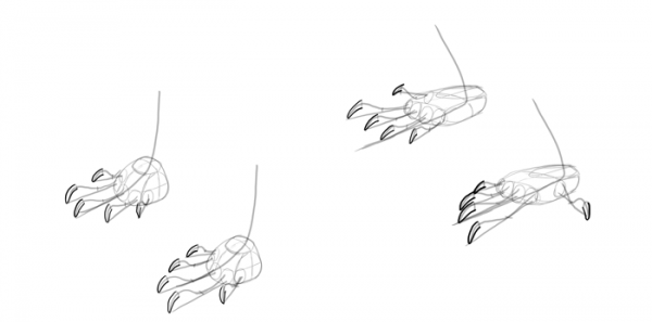 SketchBook Original: How to Draw Lizards – Monika Zagrobelna