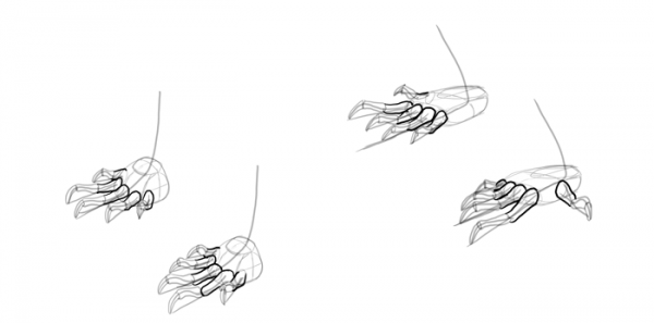 SketchBook Original: How to Draw Lizards – Monika Zagrobelna