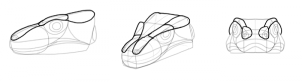 SketchBook Original: How to Draw Lizards – Monika Zagrobelna