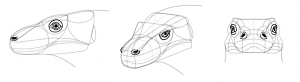 SketchBook Original: How to Draw Lizards – Monika Zagrobelna