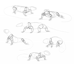 SketchBook Original: How to Draw Lizards – Monika Zagrobelna