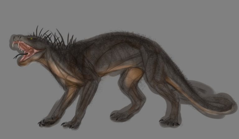 Viper Cat: the Making of – Monika Zagrobelna