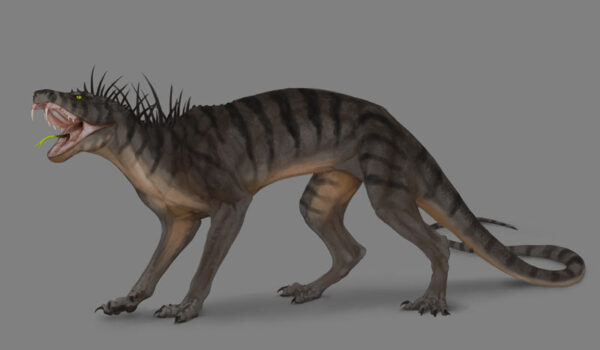 Viper Cat: the Making of – Monika Zagrobelna