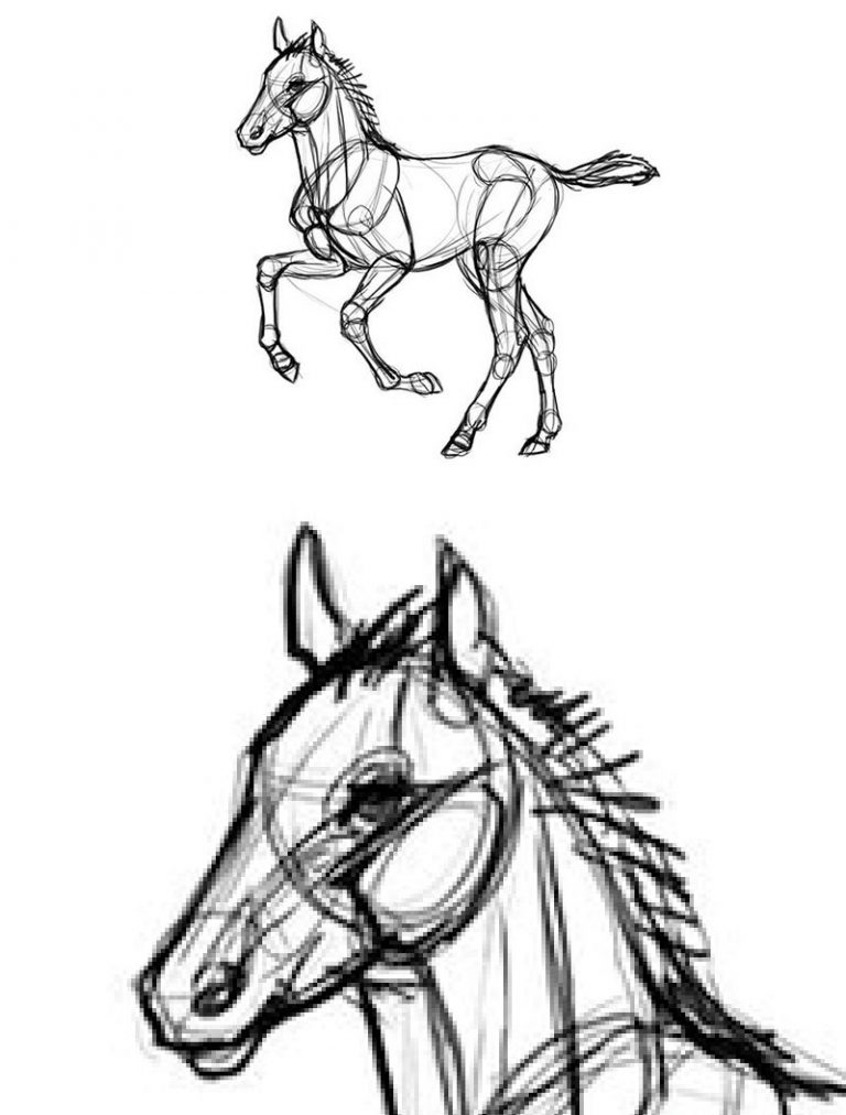 Digital Drawing for Beginners: What You Need to Know Before You Start ...