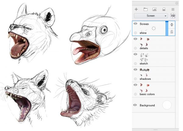 Digital Drawing for Beginners: What You Need to Know Before You Start ...