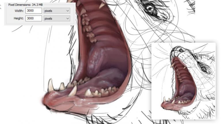 Digital Drawing for Beginners: What You Need to Know Before You Start ...