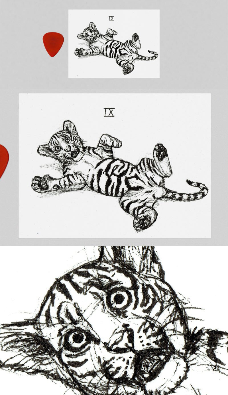 Digital Drawing for Beginners: What You Need to Know Before You Start ...