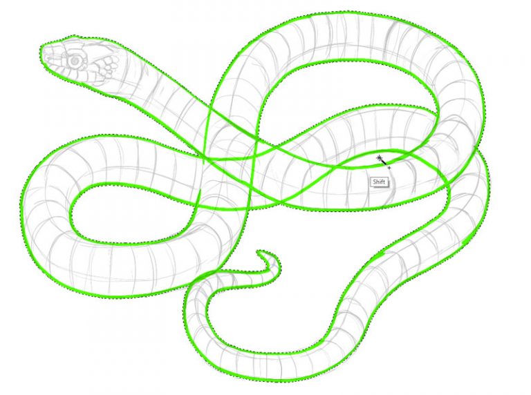 Digital Drawing for Beginners: Basics of Digital Shading – Monika ...