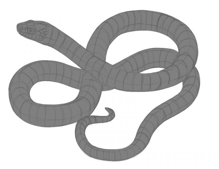 Digital Drawing for Beginners: Basics of Digital Shading – Monika ...