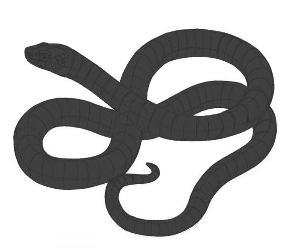 Digital Drawing for Beginners: Basics of Digital Shading – Monika ...