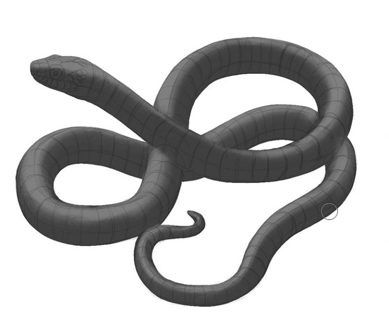 Digital Drawing for Beginners: Basics of Digital Shading – Monika ...