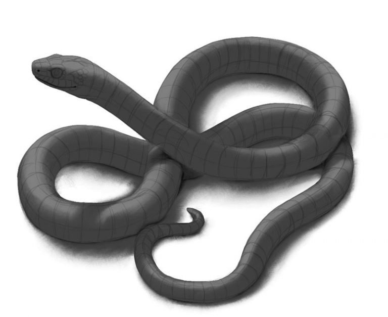 Digital Drawing for Beginners: Basics of Digital Shading – Monika ...