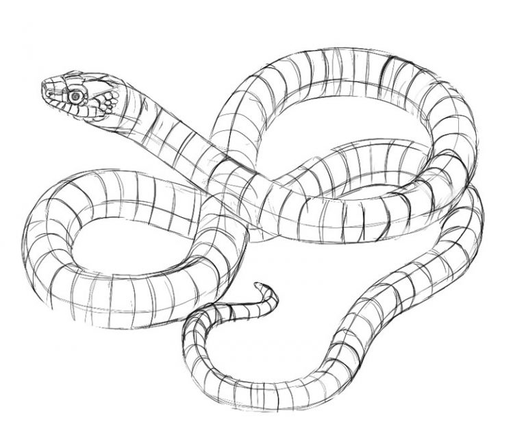 Digital Drawing for Beginners: Basics of Digital Shading – Monika ...