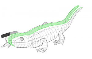 Drawing 101: How to Draw Form and Volume – Monika Zagrobelna