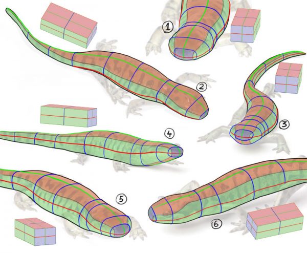 Drawing 101: How to Draw Form and Volume – Monika Zagrobelna
