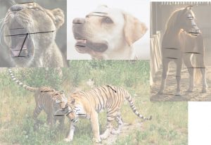 Drawing 101: How to Draw Form and Volume – Monika Zagrobelna