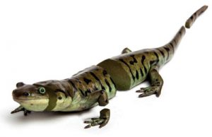 SketchBook Original: How to Draw Wings – Monika Zagrobelna