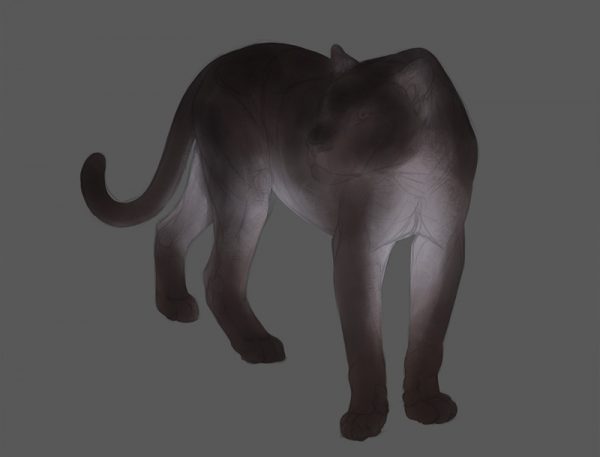 A Shadow Cat: The Making of – Monika Zagrobelna