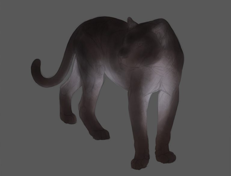 A Shadow Cat: The Making of – Monika Zagrobelna