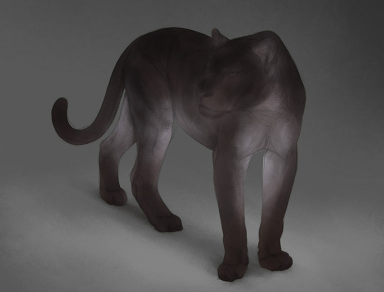 A Shadow Cat: The Making of – Monika Zagrobelna