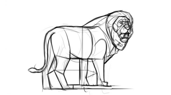 How to Fix Proportions in Your Drawing – Monika Zagrobelna