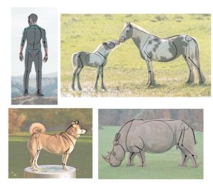 How to Learn to Draw by Tracing – Monika Zagrobelna