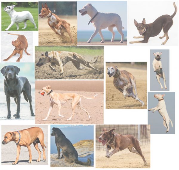 How to Learn to Draw by Tracing – Monika Zagrobelna