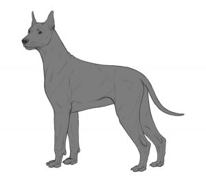 How to Shade in Digital Art: a Simple Method – Monika Zagrobelna