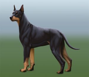 How to Shade in Digital Art: a Simple Method – Monika Zagrobelna