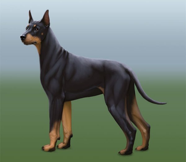 How to Shade in Digital Art: a Simple Method – Monika Zagrobelna