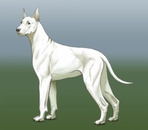 How to Shade in Digital Art: a Simple Method – Monika Zagrobelna