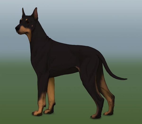 How to Shade in Digital Art: a Simple Method – Monika Zagrobelna