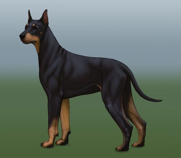 How to Shade in Digital Art: a Simple Method – Monika Zagrobelna