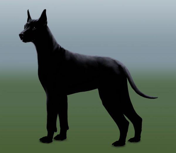 How to Shade in Digital Art: a Simple Method – Monika Zagrobelna