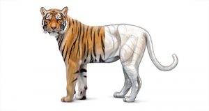 SketchBook Original: How to Draw and Paint Drogon Digitally – Monika ...