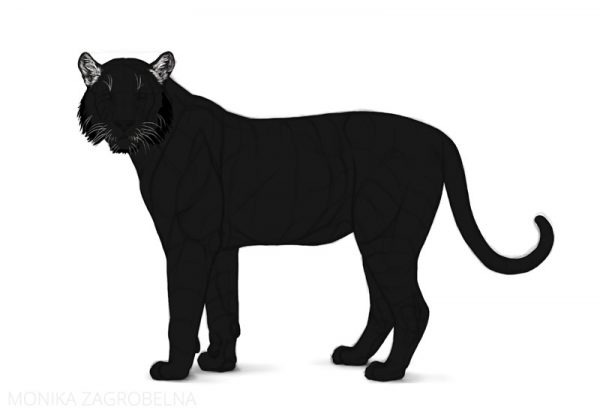 Free Tiger Body Base + Tutorial – Monika Zagrobelna