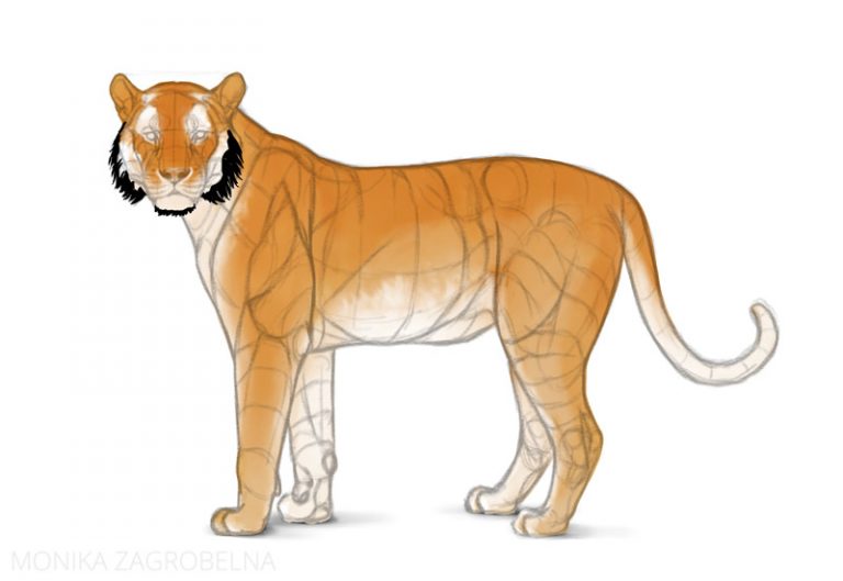 Free Tiger Body Base + Tutorial – Monika Zagrobelna