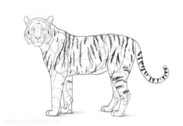 Free Tiger Body Base + Tutorial – Monika Zagrobelna