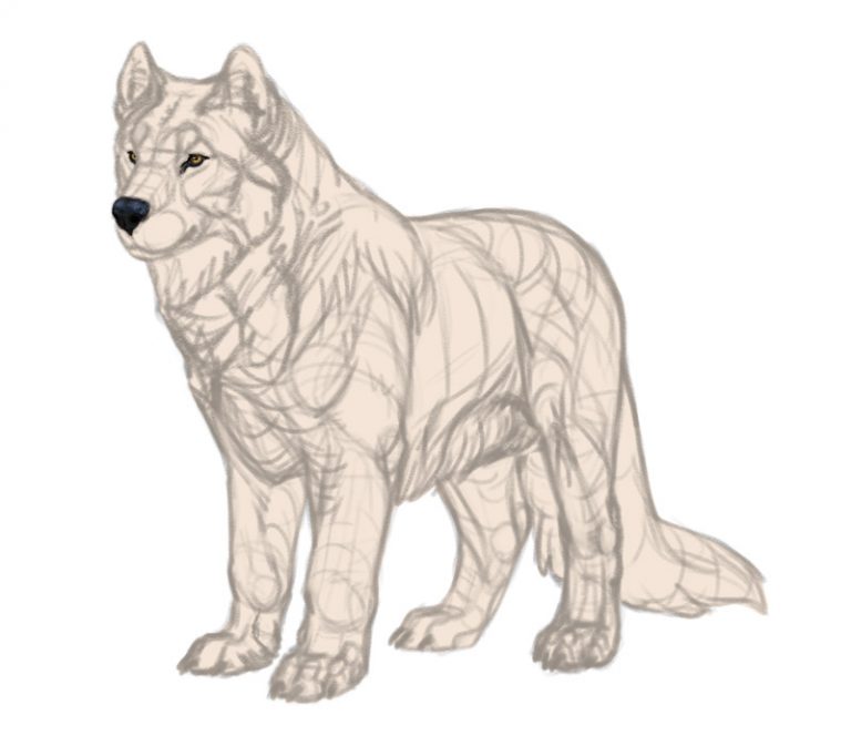 How to Draw Fur with a Fur Brush Set – Monika Zagrobelna