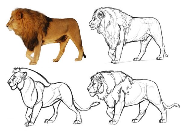 What Are Art Studies and How to Do Them – Monika Zagrobelna