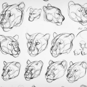 How to Start a Drawing – Monika Zagrobelna