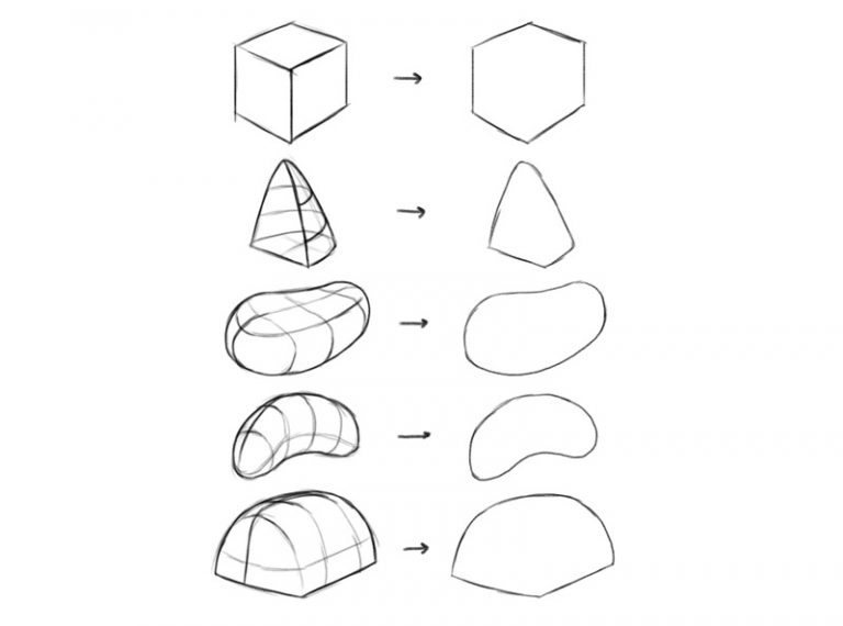 How to Start a Drawing – Monika Zagrobelna