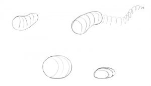 How to Start a Drawing – Monika Zagrobelna