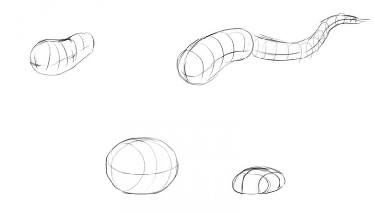 How to Start a Drawing – Monika Zagrobelna